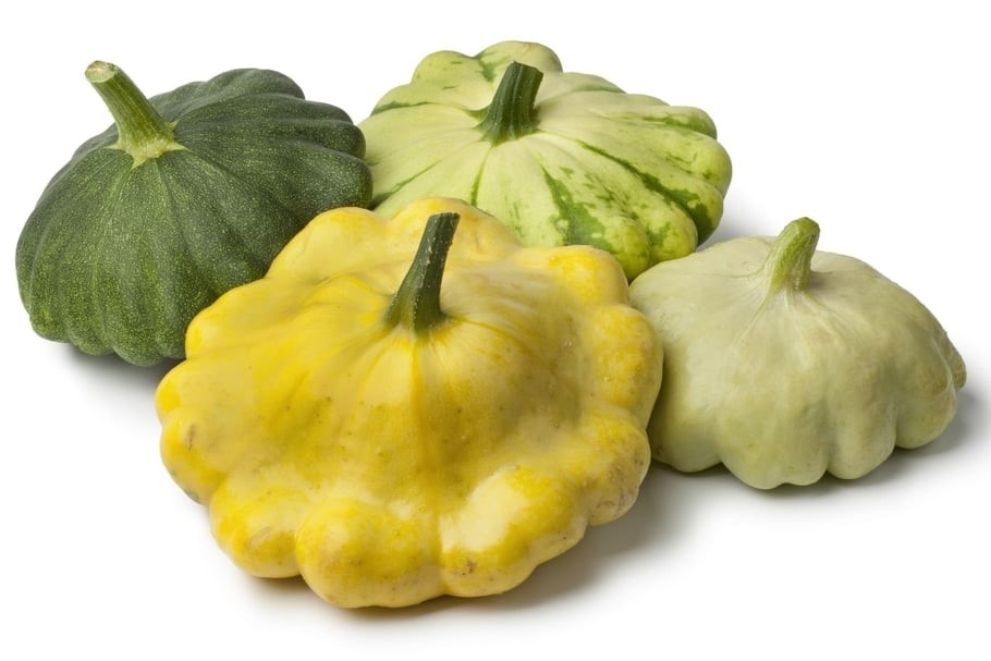 Le pâtisson, une courge au physique intriguant | Solibio